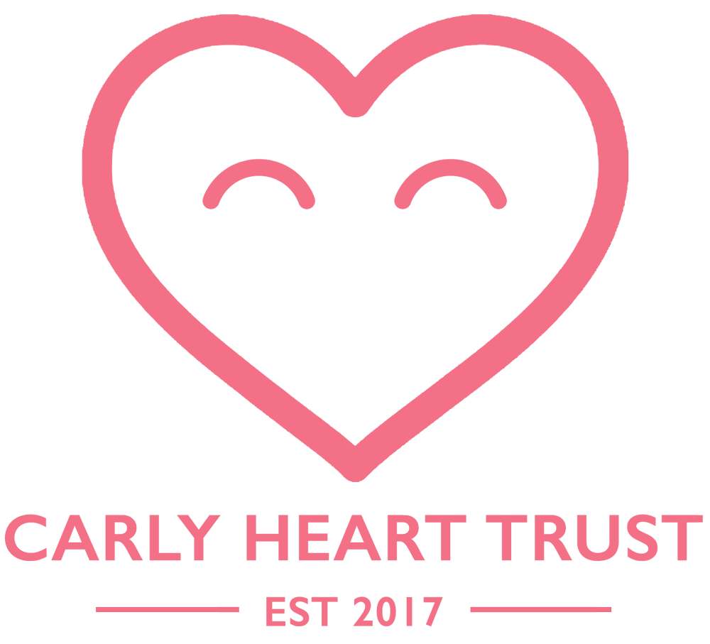 Stewart Fleming Primary School and Carly Heart! | Carly Heart Trust